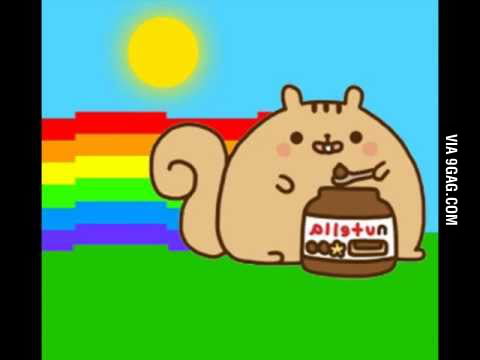 Nutella Squirrel - 9GAG
