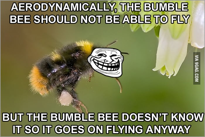 Troll Bumble bee - 9GAG