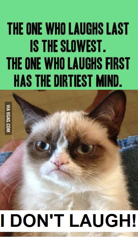 Grumpy Cat on laughing - 9GAG