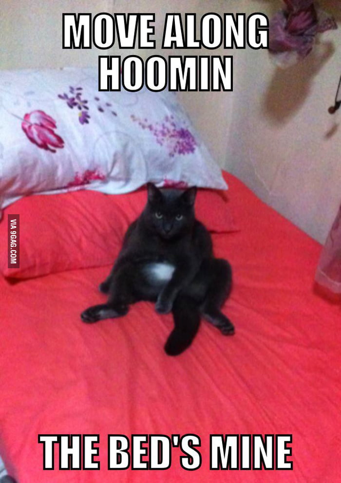 I ll Just Sleep On The Floor Then 9GAG