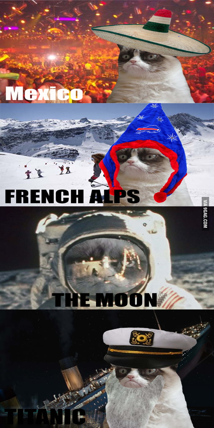 Grumpy cat goes on vacation - 9GAG