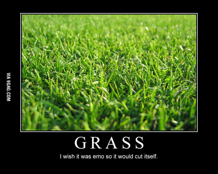 Emo Grass - 9GAG