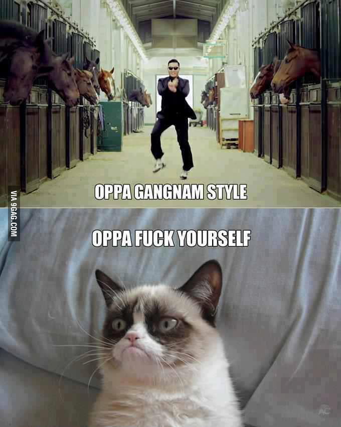 Grumpy cat is grumpy - 9GAG
