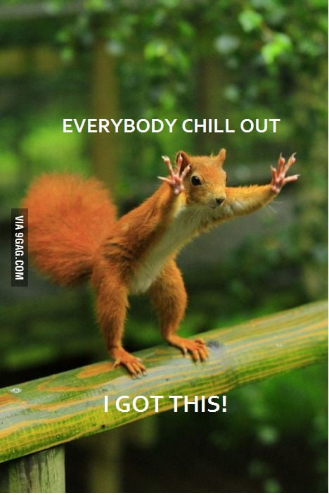 Everybody chill out! - 9GAG
