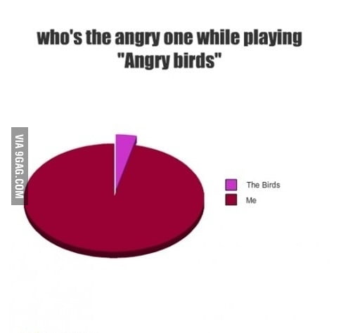 Angry birds vs Me - 9GAG