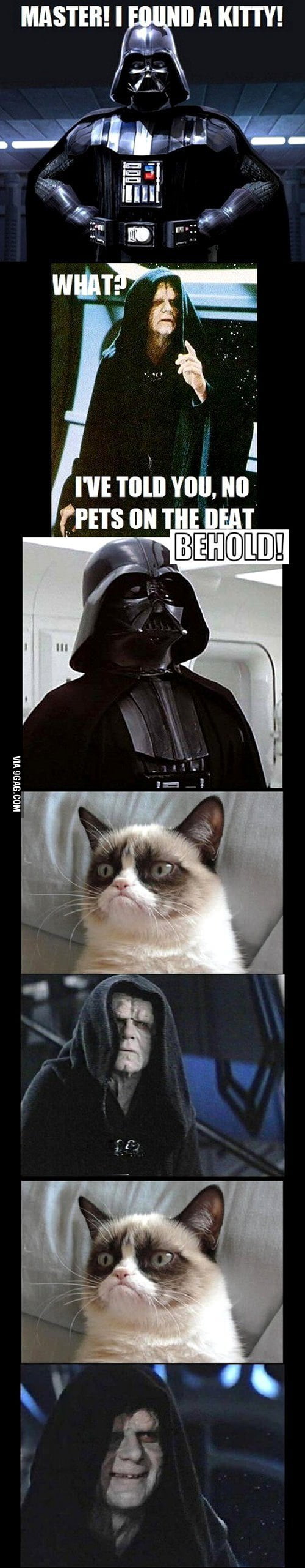 The Emperor approves of grumpy cat. - 9GAG