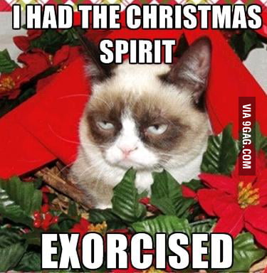 Grumpy Cat Is Grumpy - 9GAG