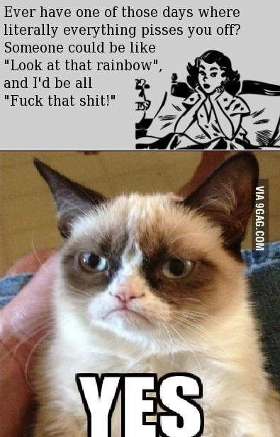 Grumpy cat is grumpy... - 9GAG