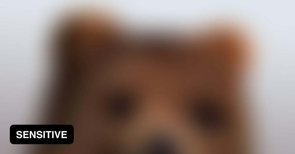 Realistic Pedobear Drawing - 9GAG