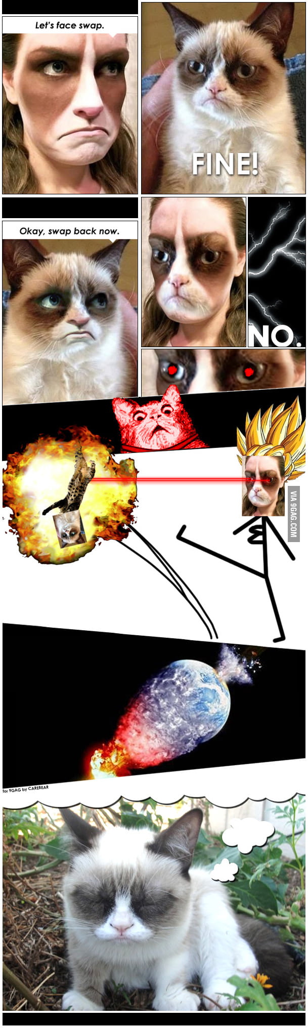 Grumpy Cat face swap went on a bit of a tangent. - 9GAG