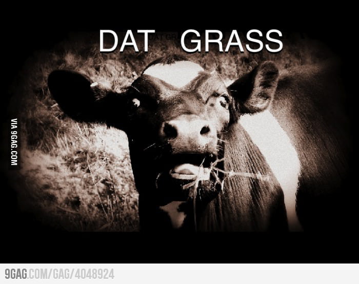 Dat Grass ! - 9GAG