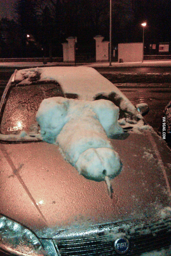Meanwhile, during winter in Warsaw - 9GAG
