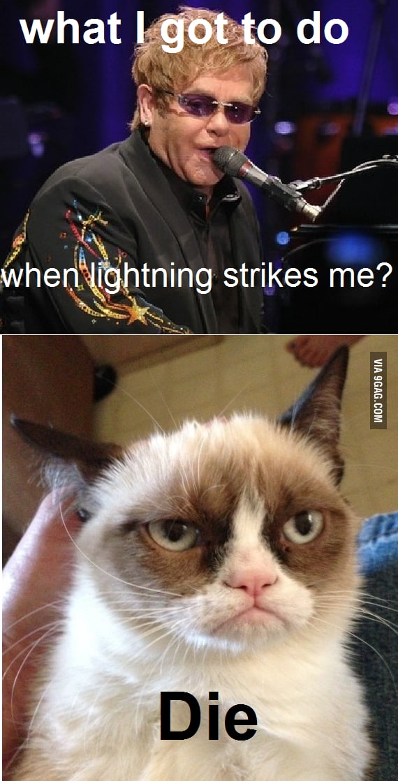 Grumpy cat's opinion about Elton John - 9GAG