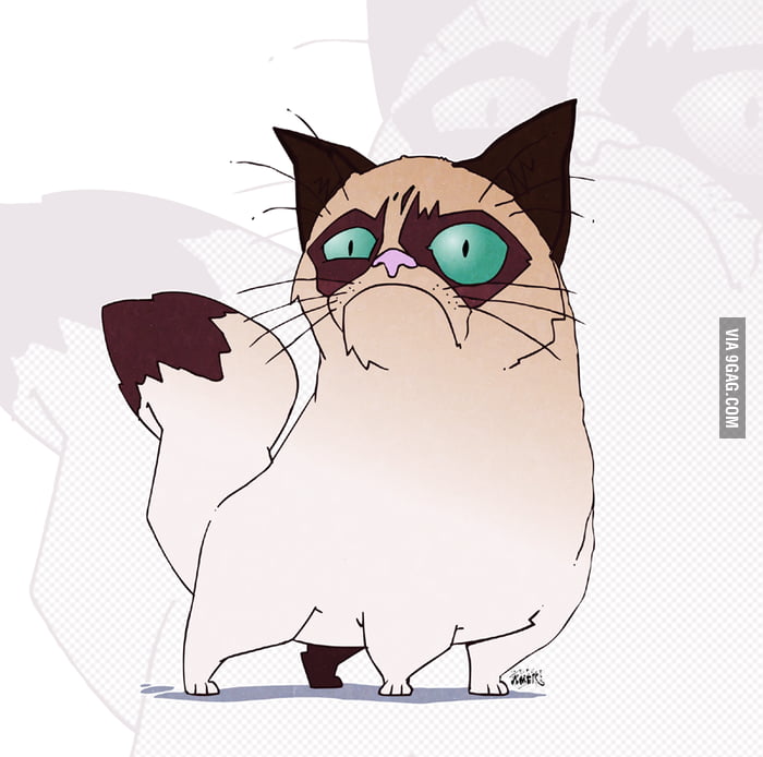 Grumpy cat cartoon - 9GAG