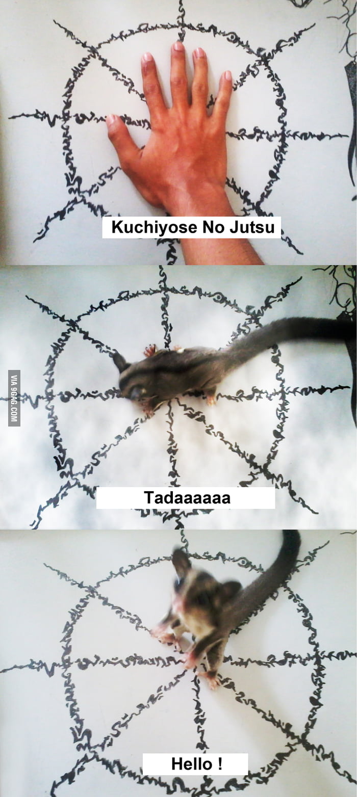 Kuchiyose no jutsu ! - 9GAG