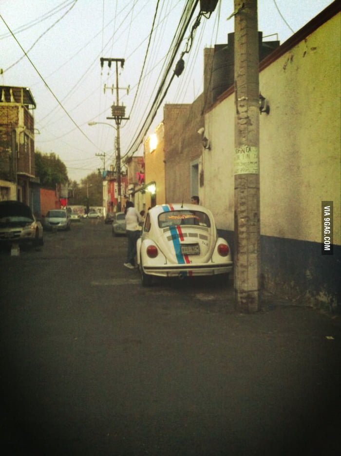 Meanwhile in Mexico......... - 9GAG