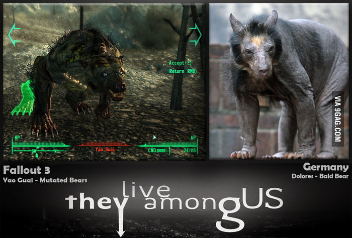 They Live Among Us... - 9GAG