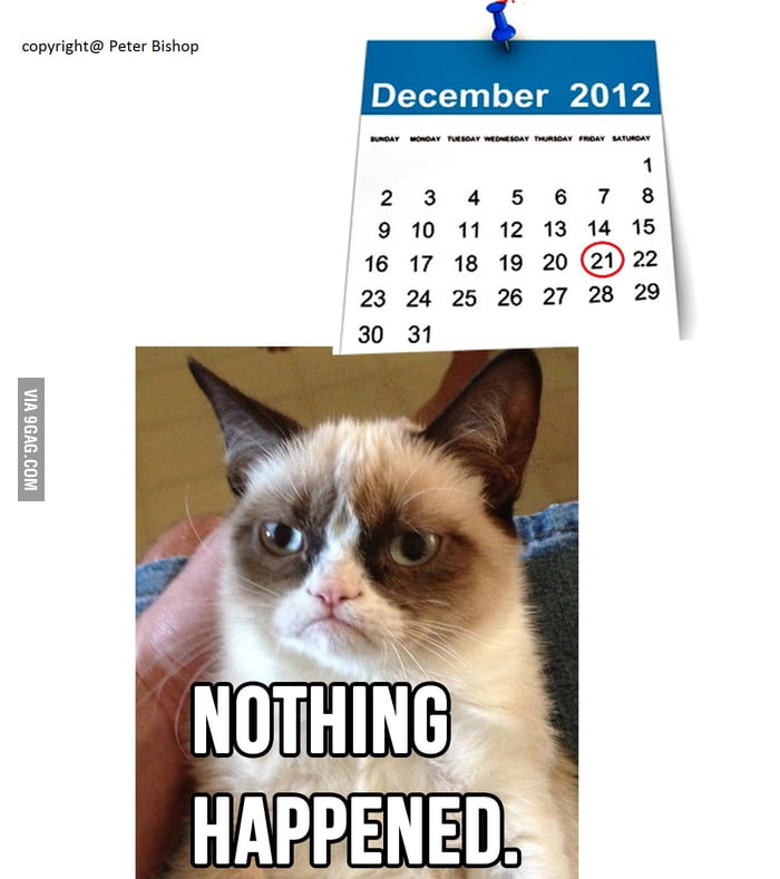 Grumpy Cat and Apocalypse - 9GAG
