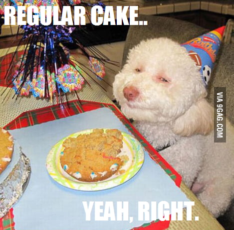 Regular cake.. yeah, right! - 9GAG