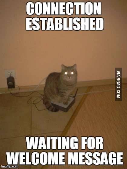 Connection established, waiting for welcome message - 9GAG