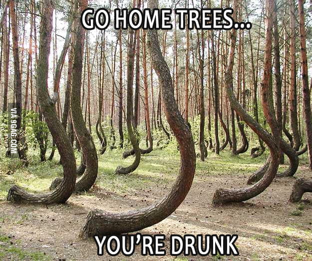 Drunk trees - 9GAG