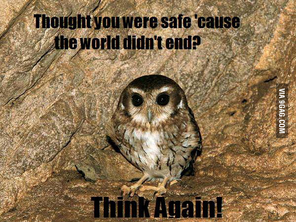 Possessed Owl - 9GAG