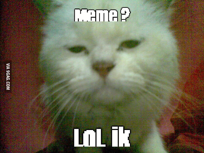 Dat cat - 9GAG