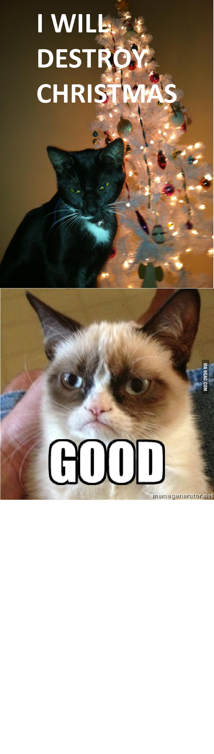 Plotting kitty and grumpy cat - 9GAG