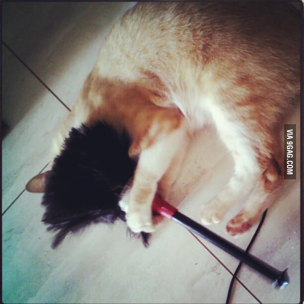 I love you duster, I really love you... - 9GAG