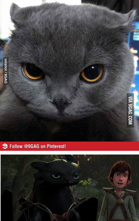 The same freaking face!! - 9GAG