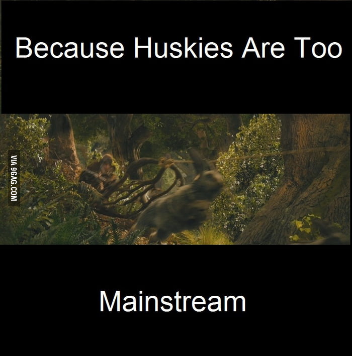 Too Mainstream - 9GAG