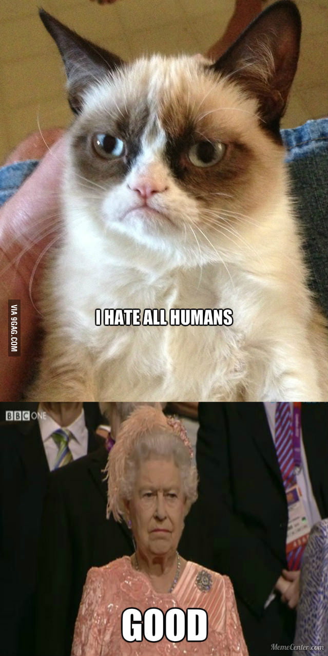 Grumpy - 9GAG