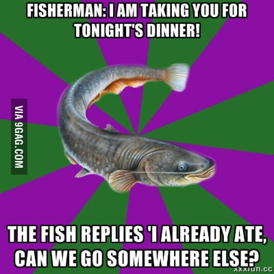Fish Fun - 9GAG