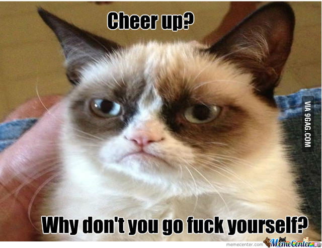 Grumpy cat at it's best - 9GAG