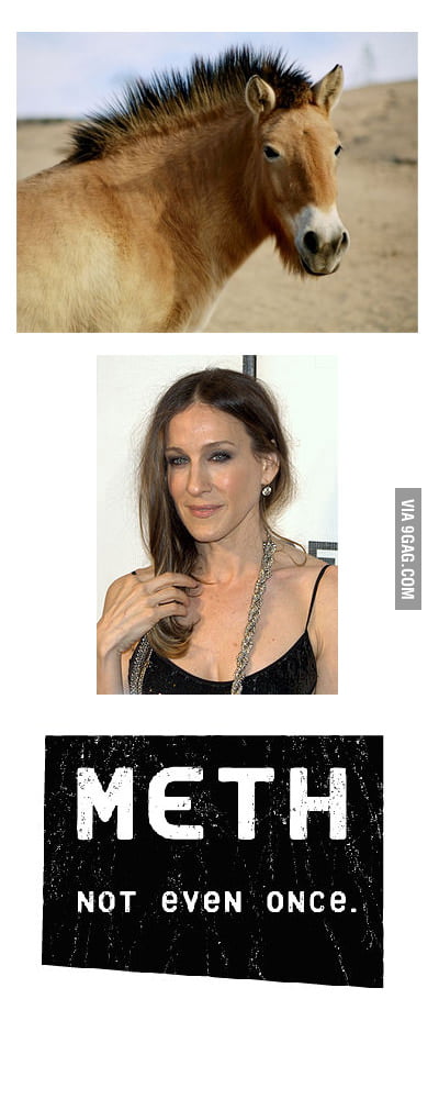 Not....even...once.... - 9GAG