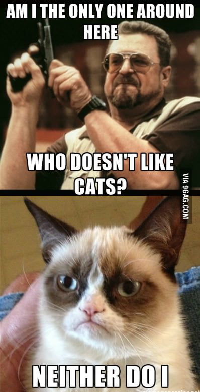 Grumpy cat - 9GAG