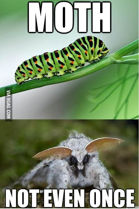 Not even once! - 9GAG