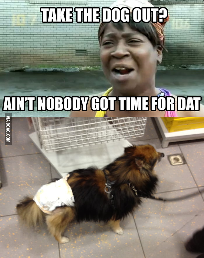 Ain't nobody got time for dog - 9GAG