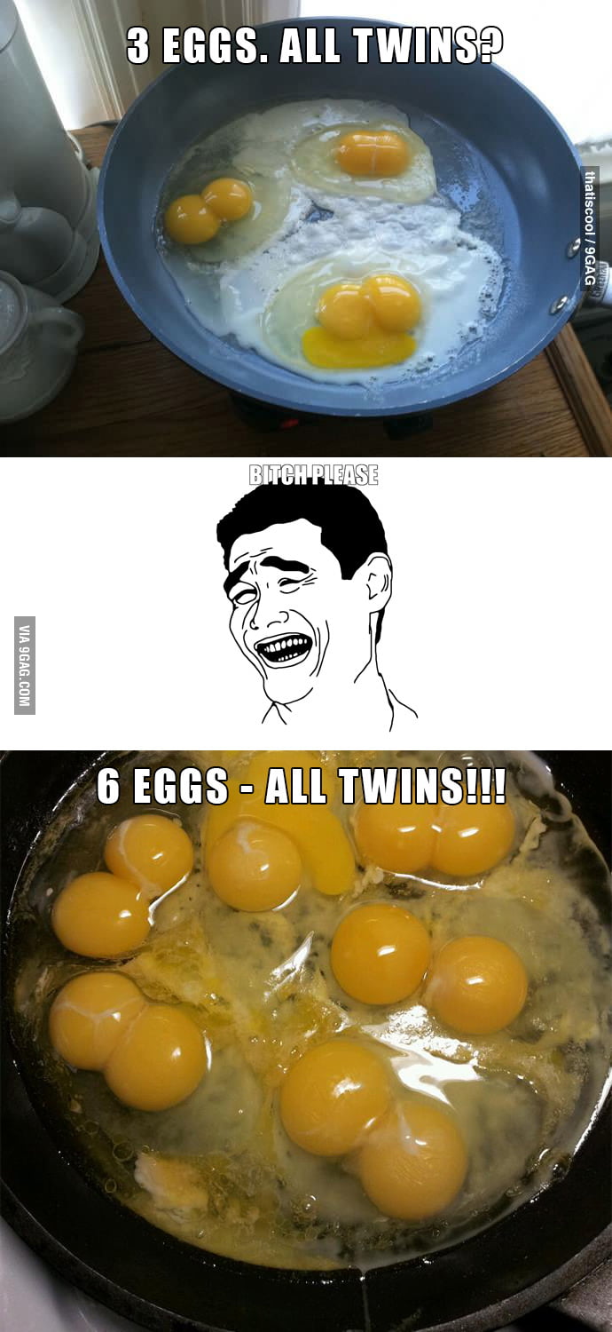 Eggs, Please! - 9GAG