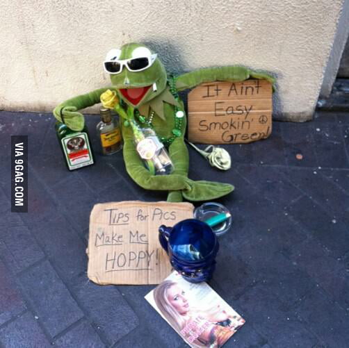 Keep him hoppy - 9GAG