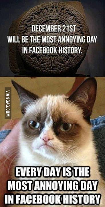 Grumpy Cat on 2012 Apocalypse - 9GAG