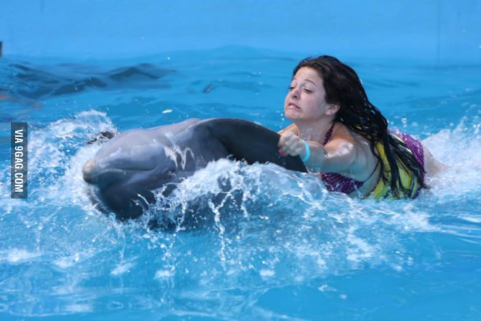 My cousin love dolphins - 9GAG