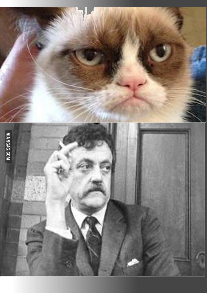 The Original Grumpy Cat.... - 9GAG