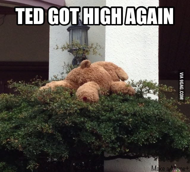Ted got high again. - 9GAG