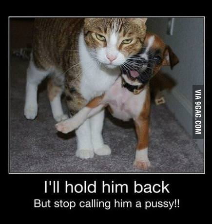 I'll hold him back... - 9GAG