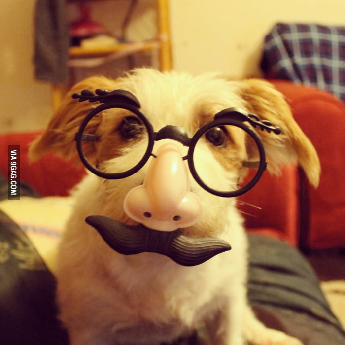 Best disguise EVER - 9GAG