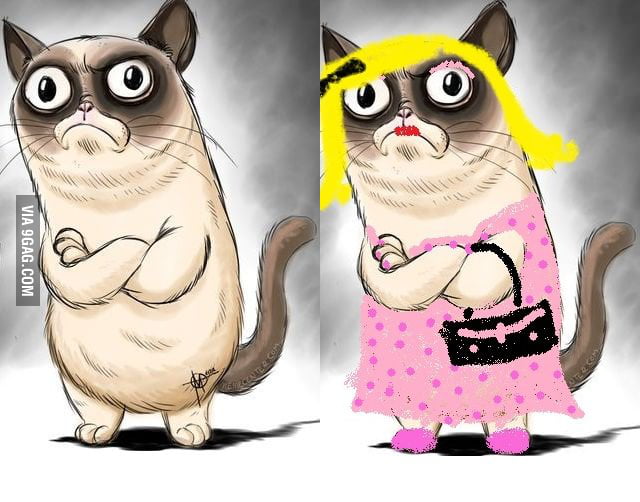 Grumpy Cat has a girlfriend - 9GAG