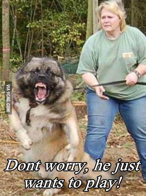 Sure he does. - 9GAG