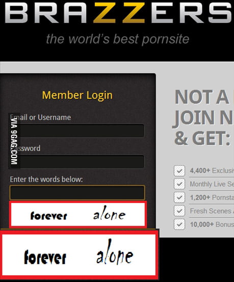 Brazzers trying to tell me something? - 9GAG