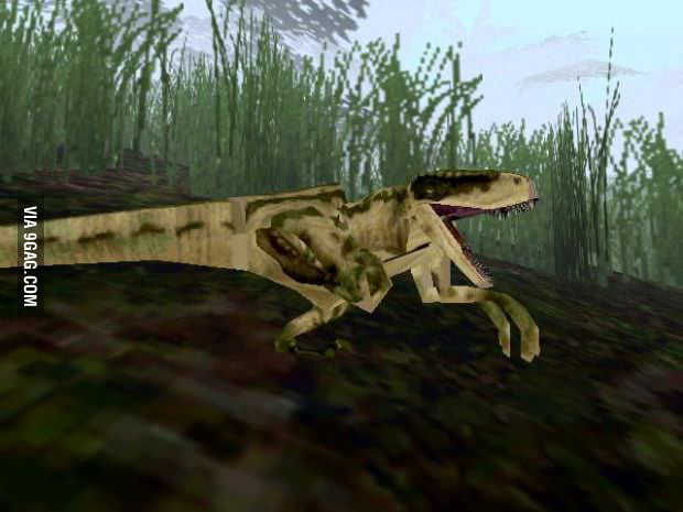 RAAWR im A raPTor - 9GAG